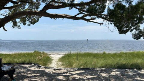 11 Stunning Shorelines That Show Off Georgia’s Coastal Charm - Family ...