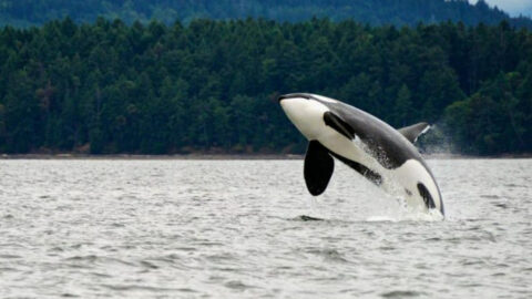 16 Unforgettable Places to Take the Kids in Washington State