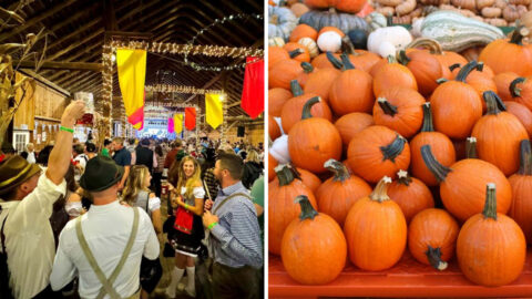 Every Traveler Should At Least Once Experience These 12 Fall Festivals ...
