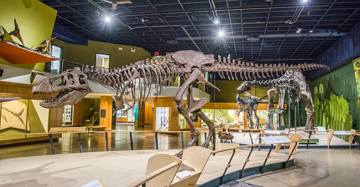 12 Cleveland Activities That Work for Kids Even on the Coldest Weekends