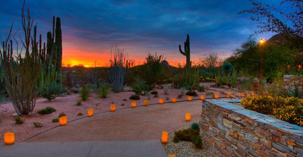 14 Easy Day Trips in Arizona That Still Feel Worth the Drive