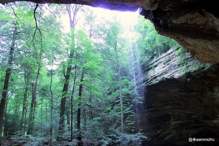 The Ohio State Park Known for Peaceful Paths, Winter Greenery, and Relaxed Afternoons