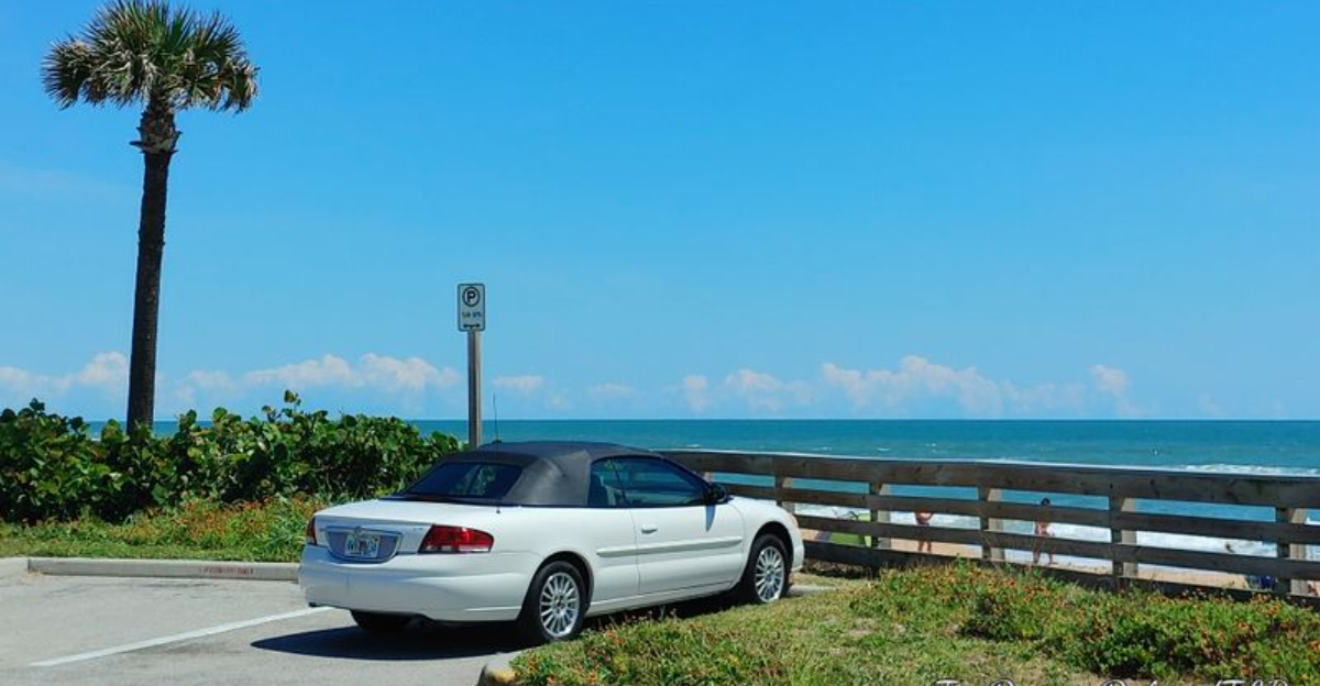This 338-mile drive in Florida is one of the state’s most memorable ...