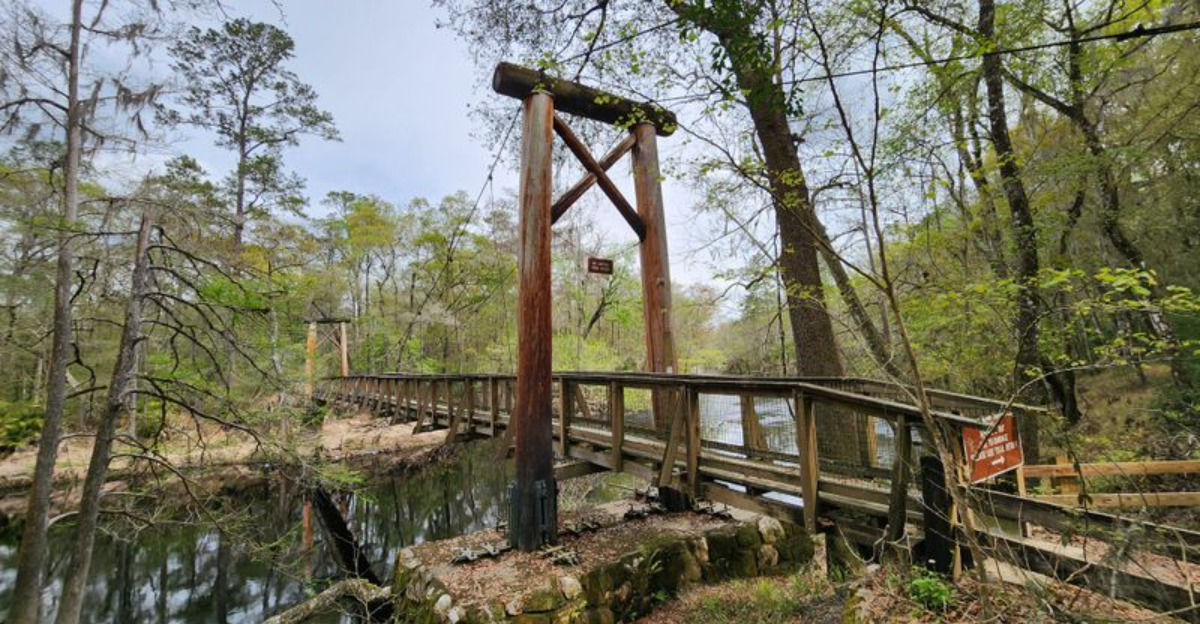 This Florida state park near High Springs offers a side of nature many ...
