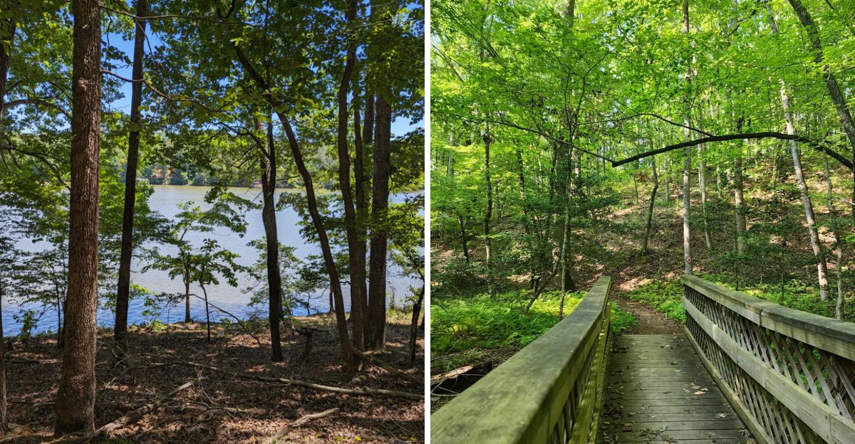 This low-key state park in Georgia offers a calmer experience than most ...