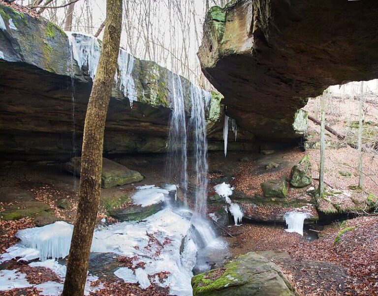 The Ohio State Park Known for Peaceful Paths, Winter Greenery, and ...