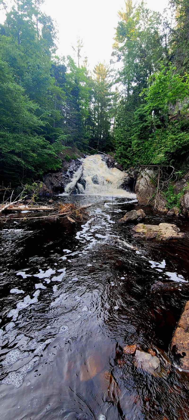 This 1.7-mile Michigan trail rewards an easy walk with a hidden waterfall