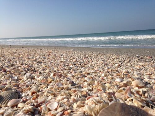10 Southwest Florida Beaches Where Shell Hunting Feels Especially Rewarding