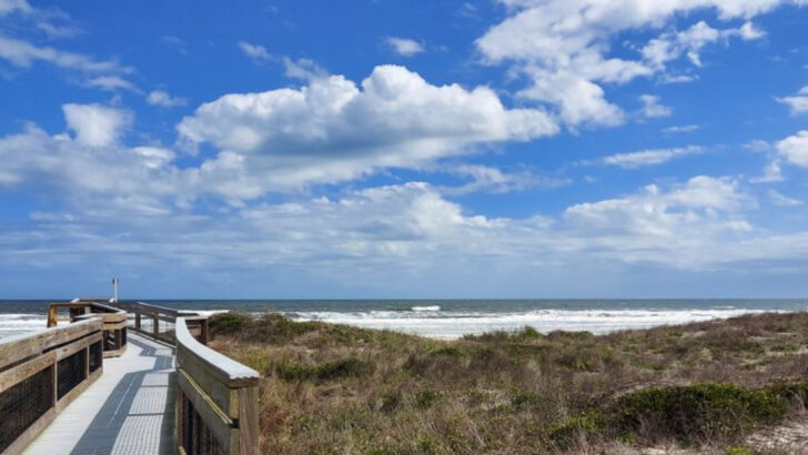 12 scenic hiking trails in Florida worth visiting in 2026