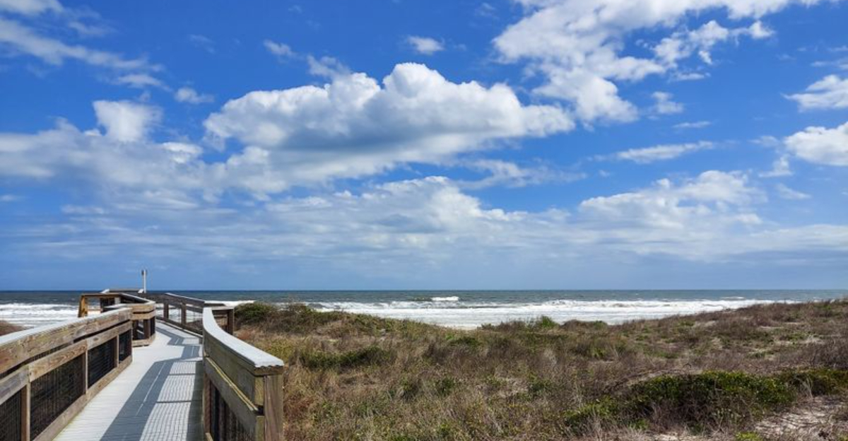 12 scenic hiking trails in Florida worth visiting in 2026