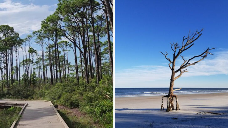 13 Beachfront Campgrounds in Florida Worth Visiting in 2026