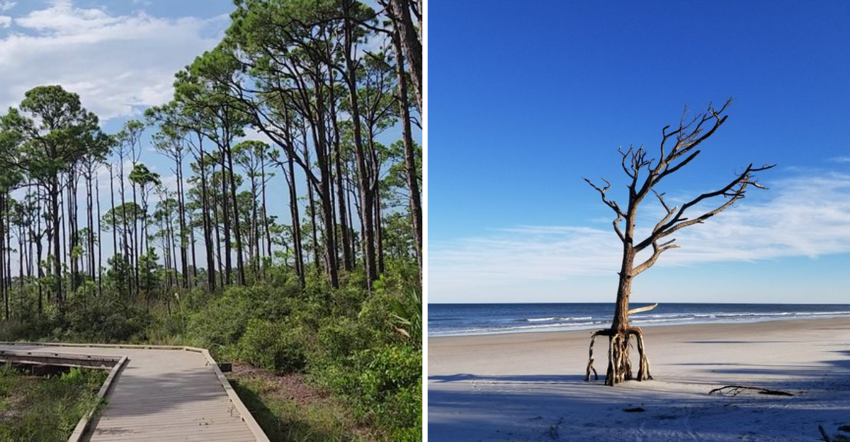 13 Beachfront Campgrounds in Florida Worth Visiting in 2026