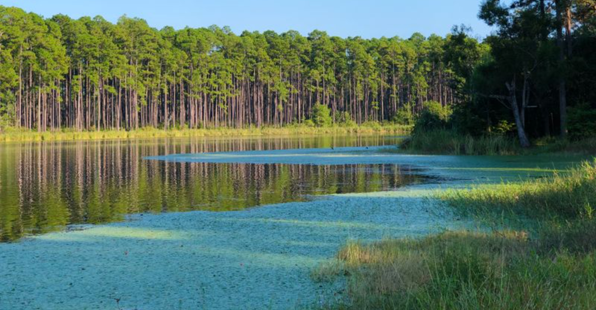 13 Pensacola-area spots that feel more like Alabama than Florida