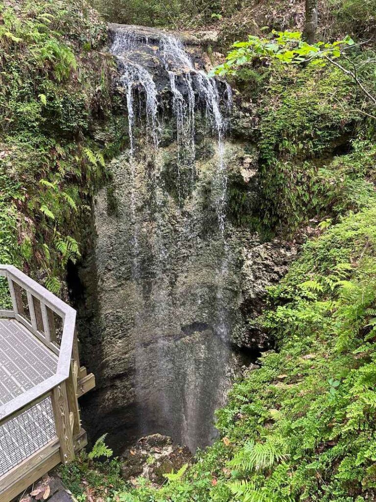 14 waterfalls across Florida that most visitors overlook