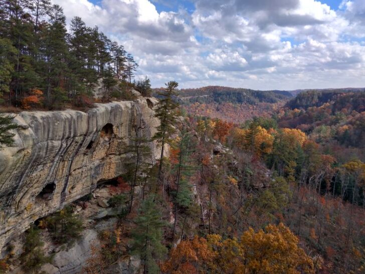 16 Beginner-Friendly Rock Climbing Spots Across America for First-Timers