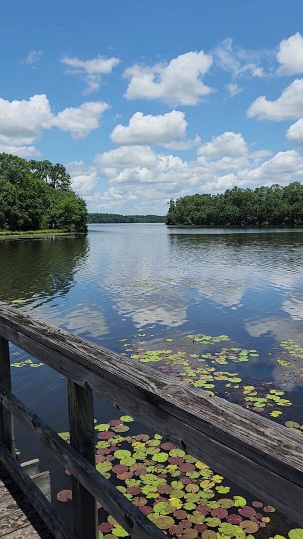 A 2,050-acre Alabama state park that feels almost unreal in person