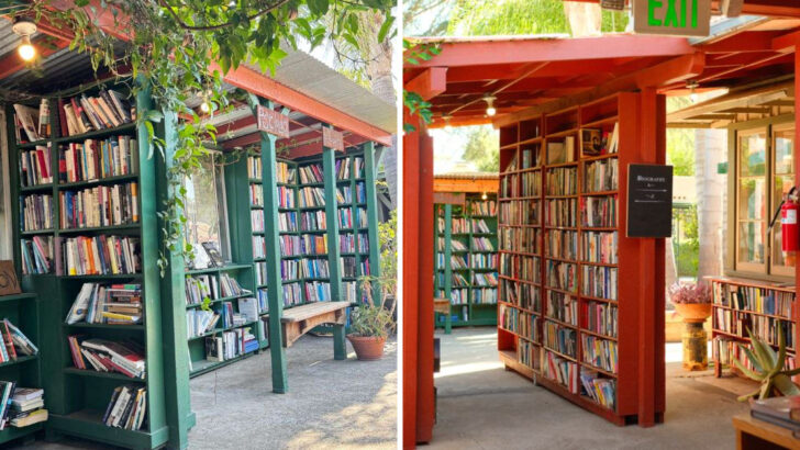 A California bookstore big enough to turn a quick stop into a full ...