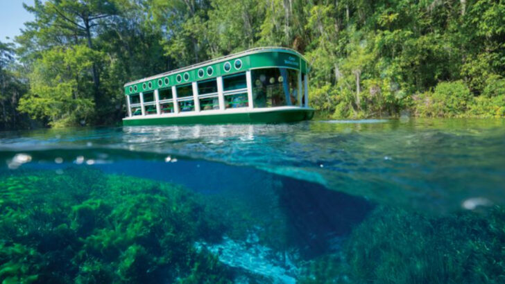 A Historic Boat Tour Through Florida's Most Pristine Spring-Fed Rivers
