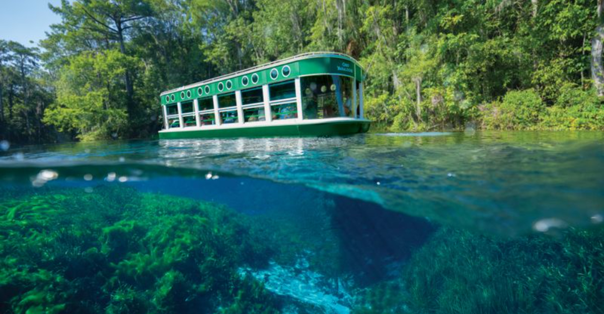 A Historic Boat Tour Through Florida's Most Pristine Spring-Fed Rivers