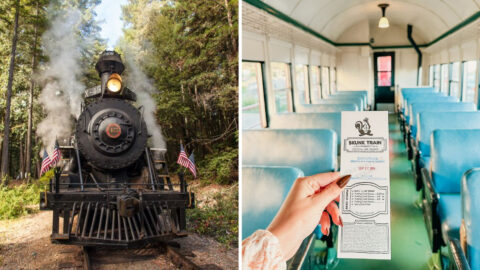 A Vintage Train Journey Through California’s Redwood Country