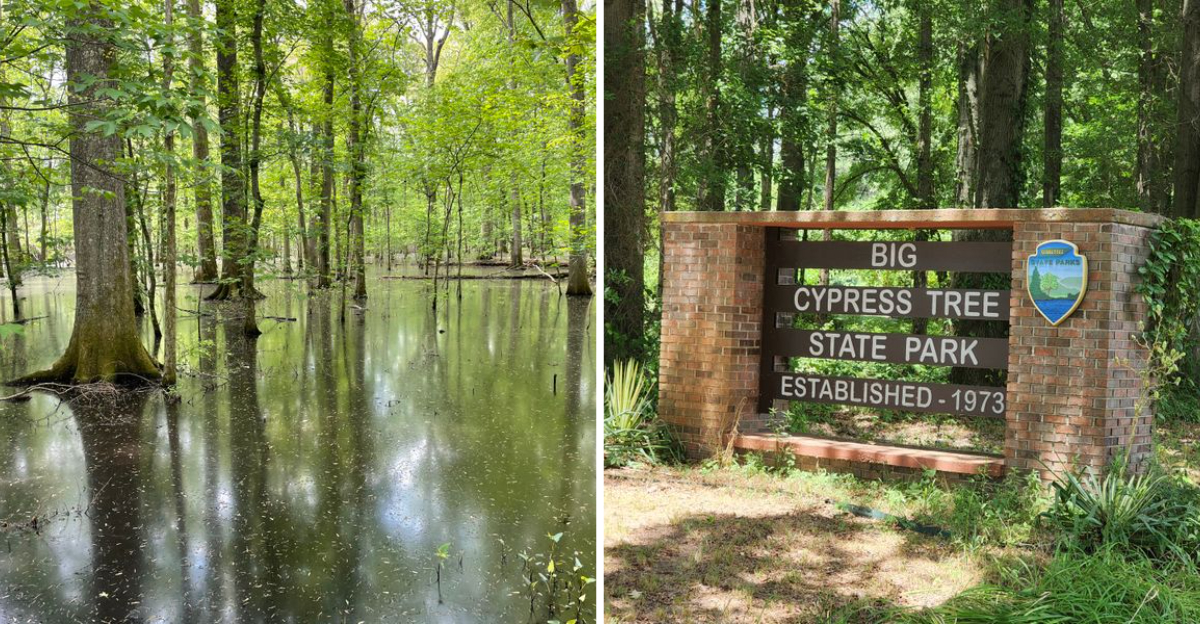 A gorgeous Tennessee state park that’s tailor-made for calm day trips