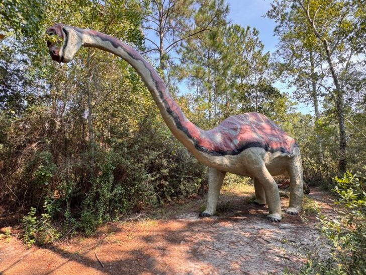 Alabama has a dinosaur forest that surprises nearly everyone who visits