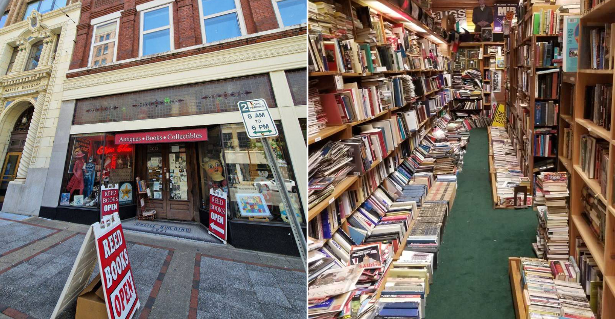 An Alabama used bookstore so immersive, most visitors underestimate how ...