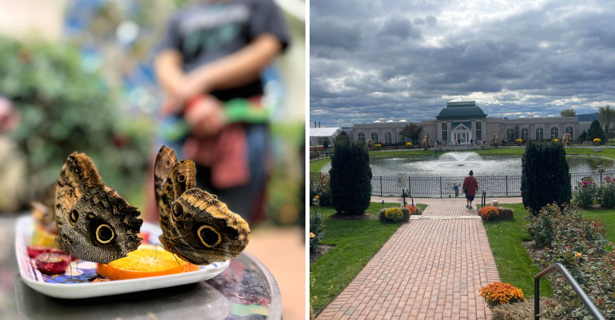 An Indoor Butterfly Atrium Is the Highlight of This Pennsylvania ...