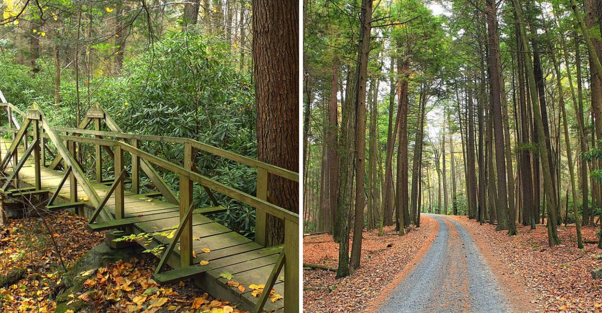 An easy 1-mile hike in Pennsylvania that feels far more memorable than ...