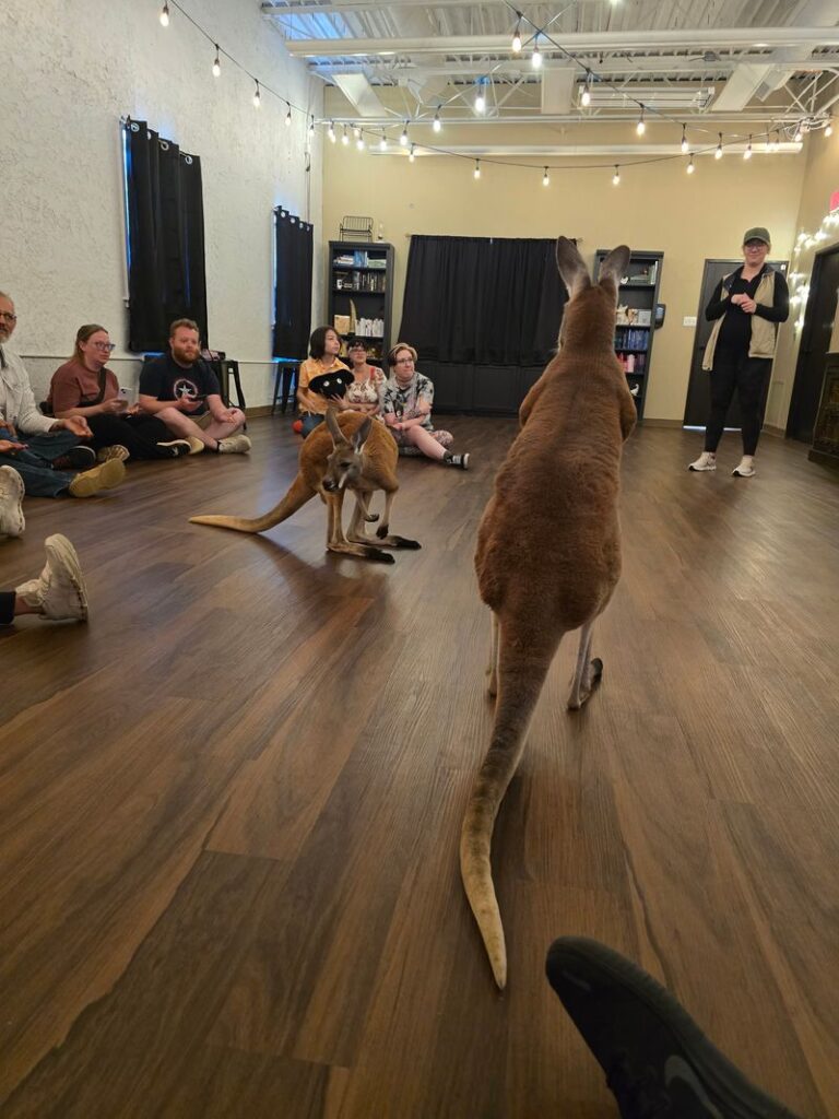 This Colorado Ranch Lets You Cuddle Baby Kangaroos and Try Something ...