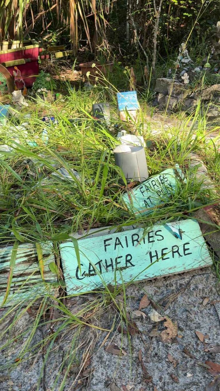 This Florida park delights visitors with fairy gnomes hidden along the ...