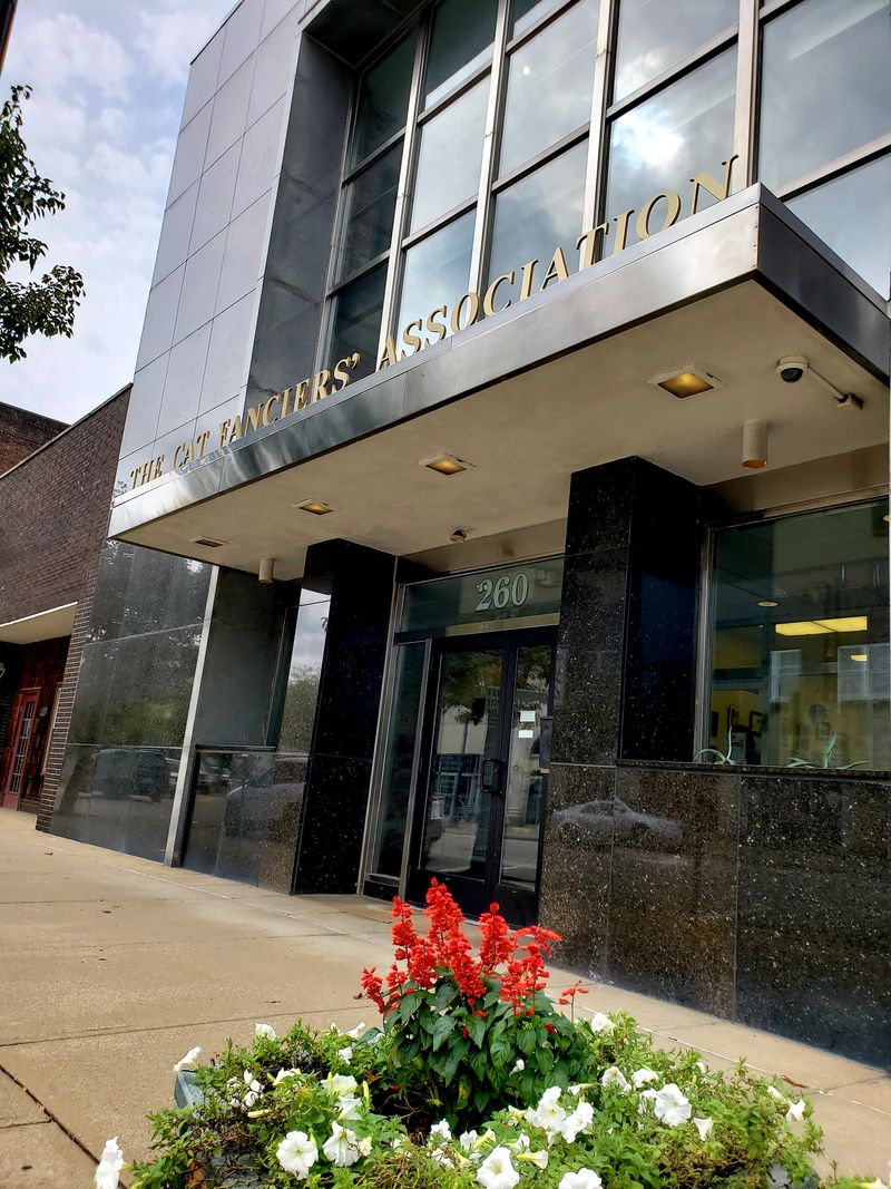 Inside America’s only official cat museum, where ancient Egypt meets ...