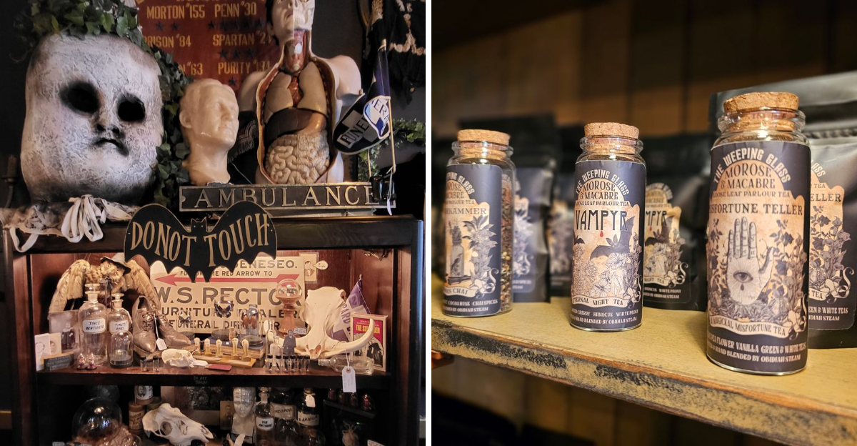 Inside a Pennsylvania shop devoted to Victorian curiosities and old ...