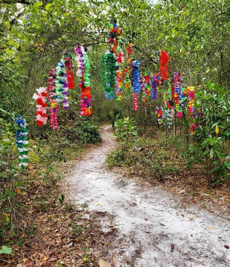 This Florida park delights visitors with fairy gnomes hidden along the ...