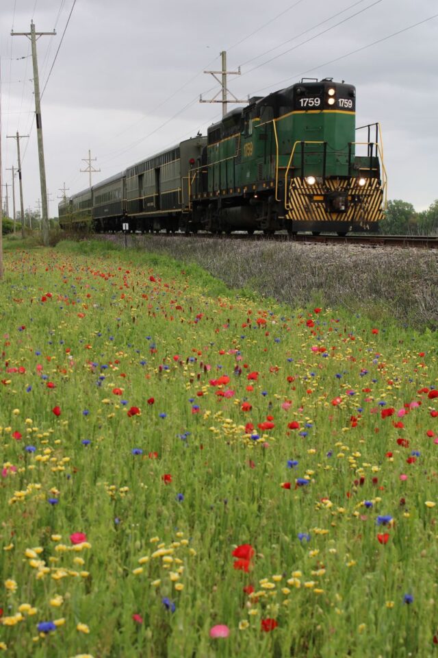 This vintage dinner train in Michigan feels like it belongs in a ...