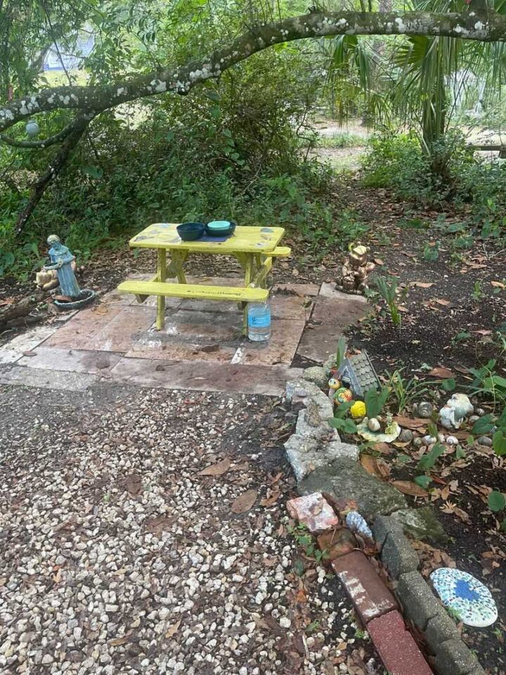 This Florida park delights visitors with fairy gnomes hidden along the ...