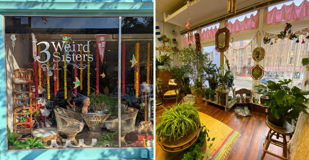 Step inside this Ohio shop packed with strange and fascinating finds
