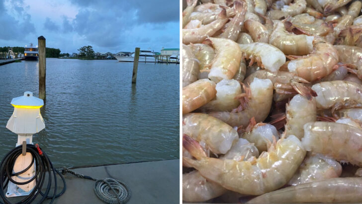The Gulf Coast's best shrimping towns for anyone who wants fresh-catch ...