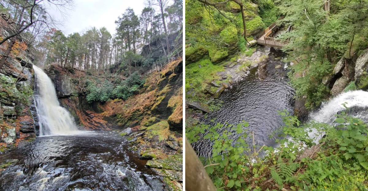 The “Niagara of Pennsylvania” plunges 300 feet through ancient hemlock ...