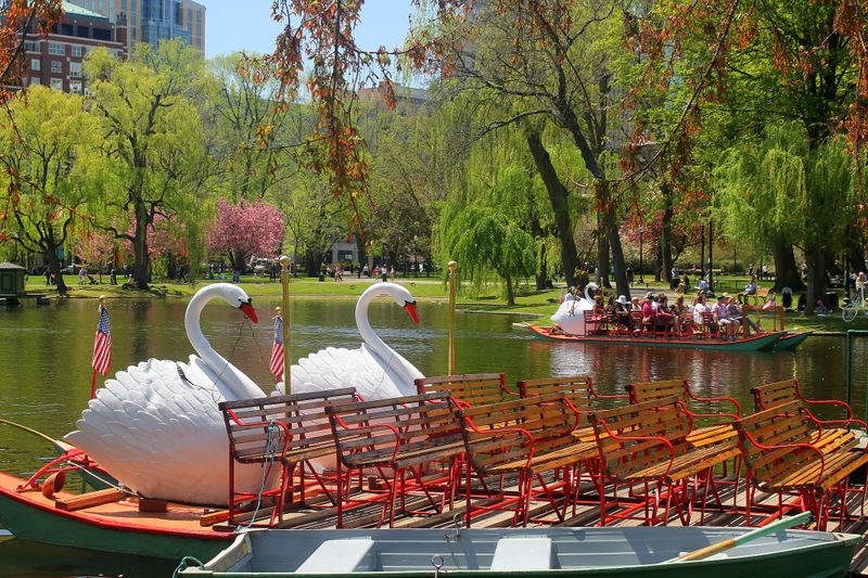 These Classic Swan Boats Have Been a Beloved Boston Tradition for ...