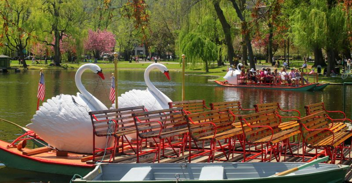 These Classic Swan Boats Have Been a Beloved Boston Tradition for ...