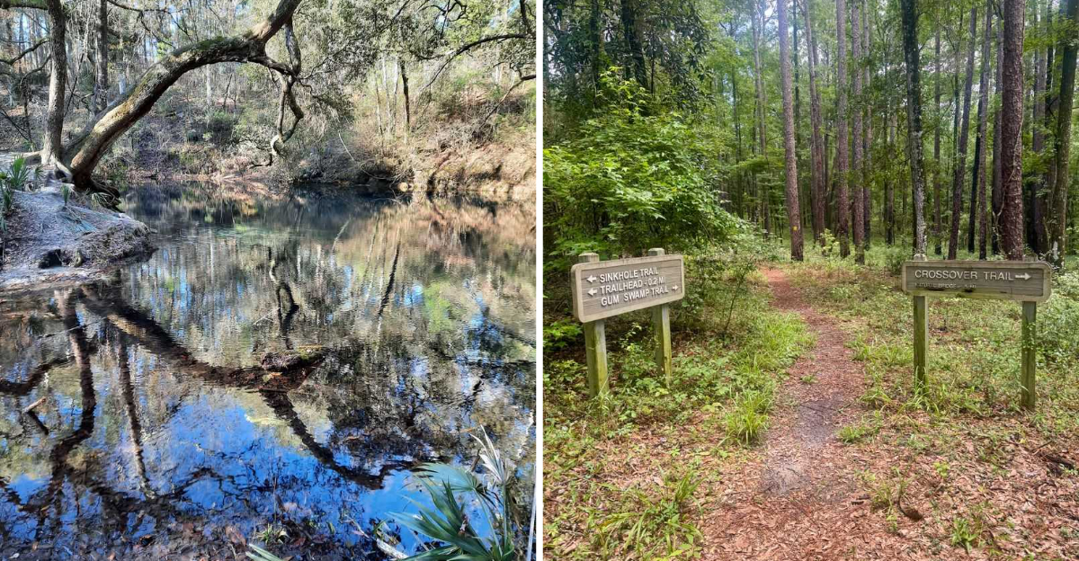 This 3.6-mile Florida hike winds past sinkholes, caves, and unexpected ...