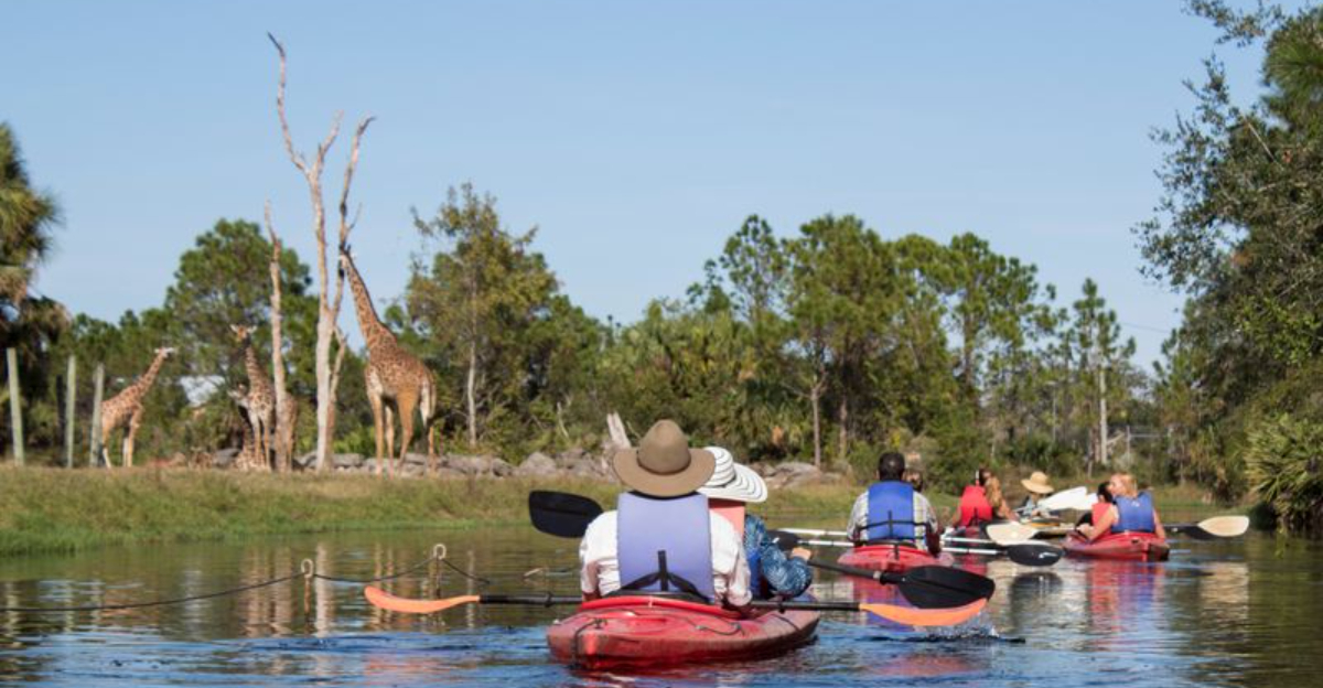 This 75-acre Florida zoo lets you kayak through giraffe and zebra habitats