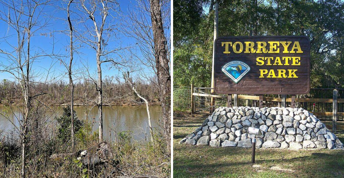 This Florida State Park Quietly Ranks Among the State’s Most Beautiful