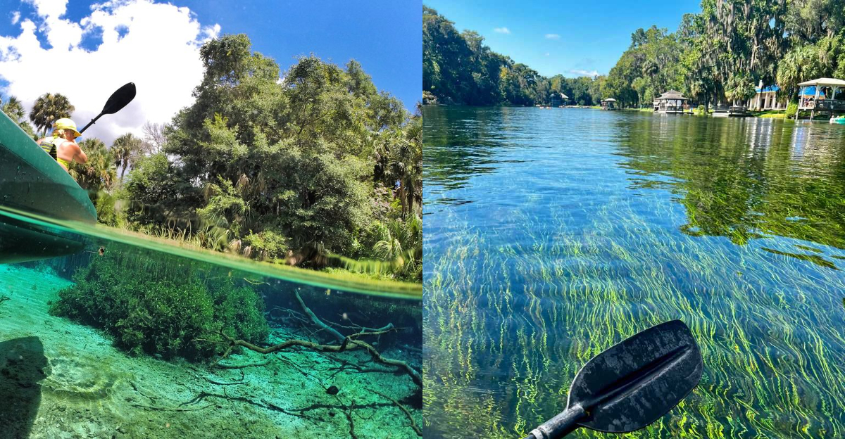 This Florida river is so clear you can see 60 feet to the bottom from ...