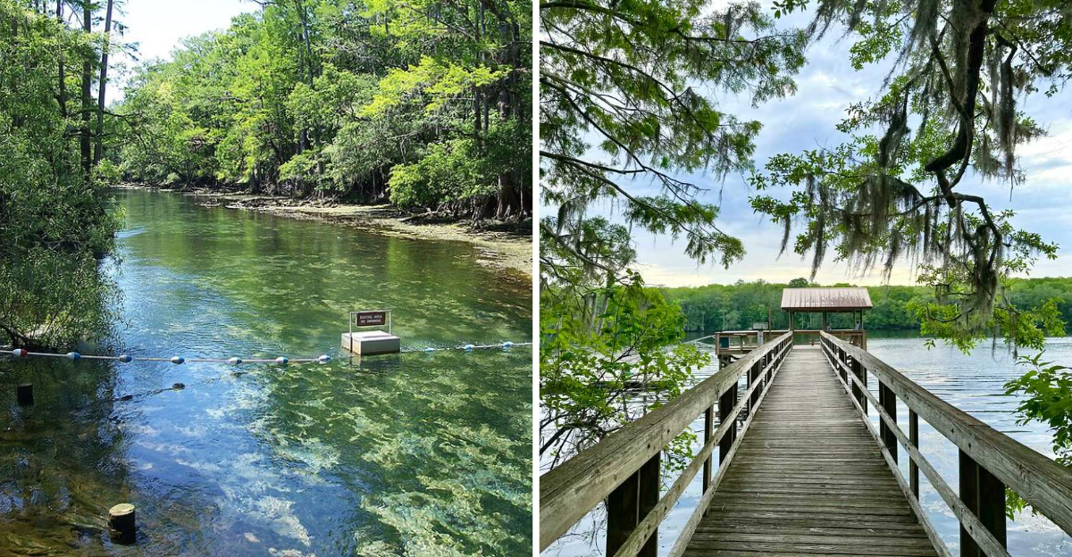 This Florida state park uses an 800-foot boardwalk to reach a secluded ...