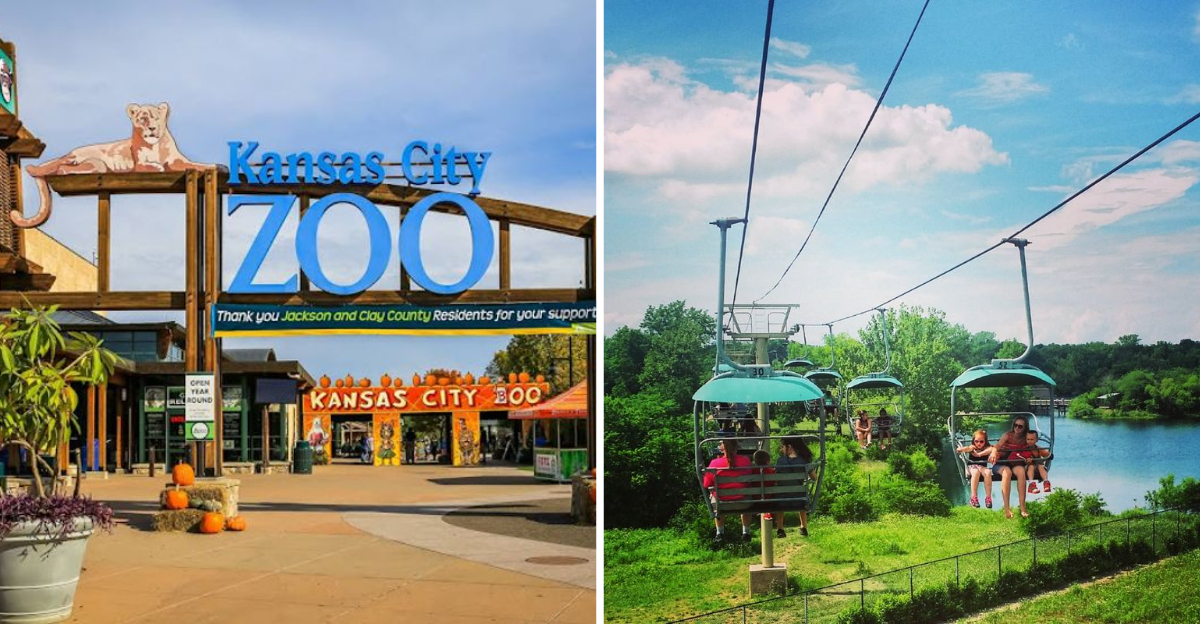 This Missouri zoo offers overnight camping where you fall asleep to ...