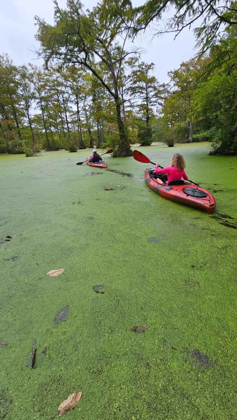 This North Carolina State Park Has a Landscape That Feels Almost Unreal