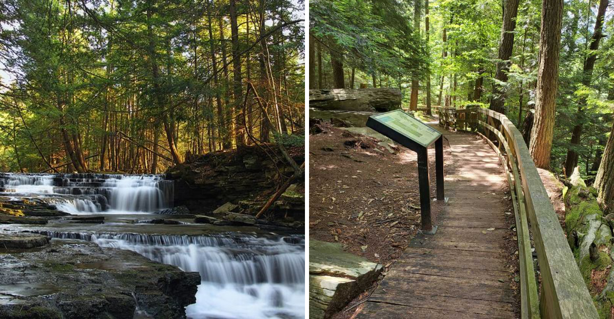This Pennsylvania state park packs three waterfalls into one peaceful stop