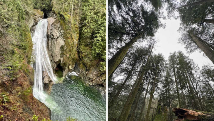 This Washington hike rewards you with some of the state’s most ...